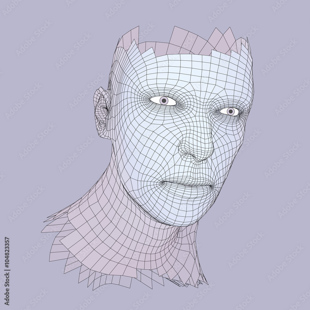 Human Face Geometry