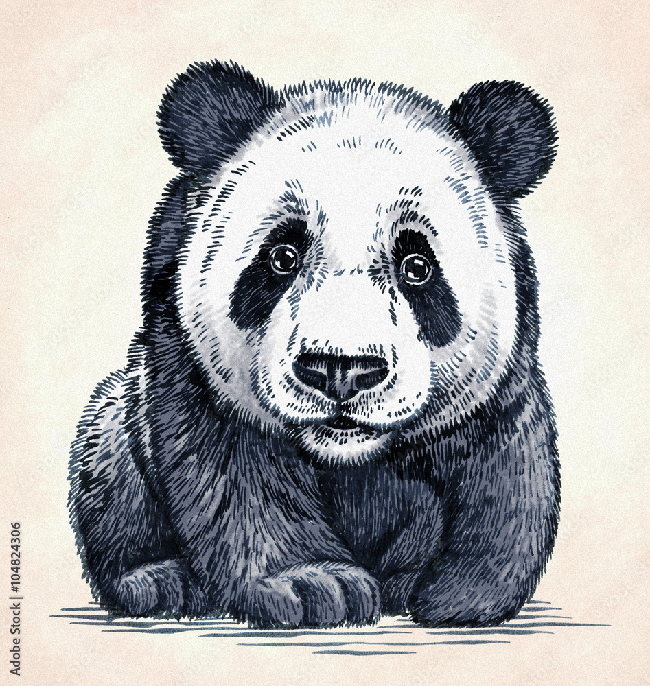 engrave ink draw panda illustration Stock Illustration | Adobe Stock