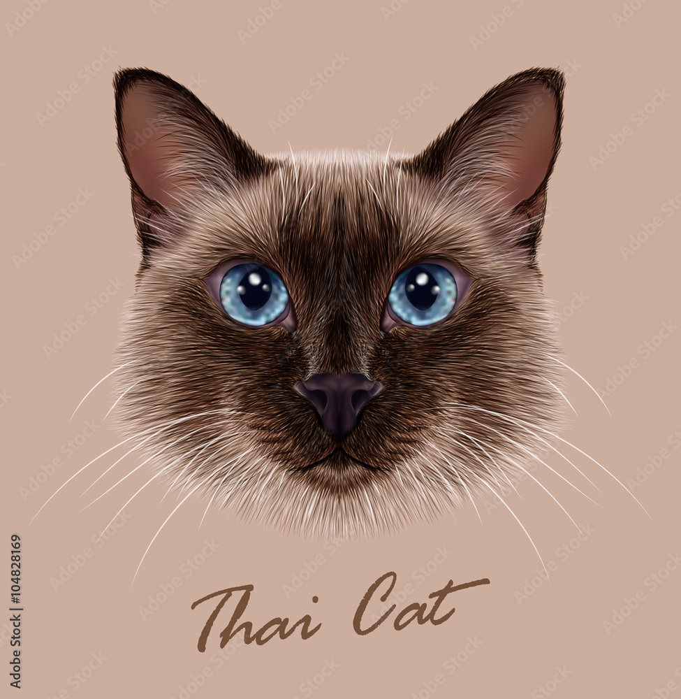 Siamese cat animal cute face. Vector funny happy cat head portrait ...