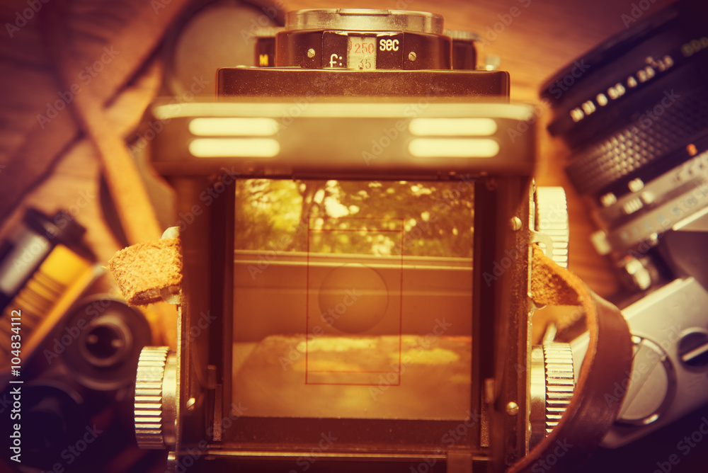 Viewfinder of a retro twin-lens camera showing a tree. Retro con foto ...