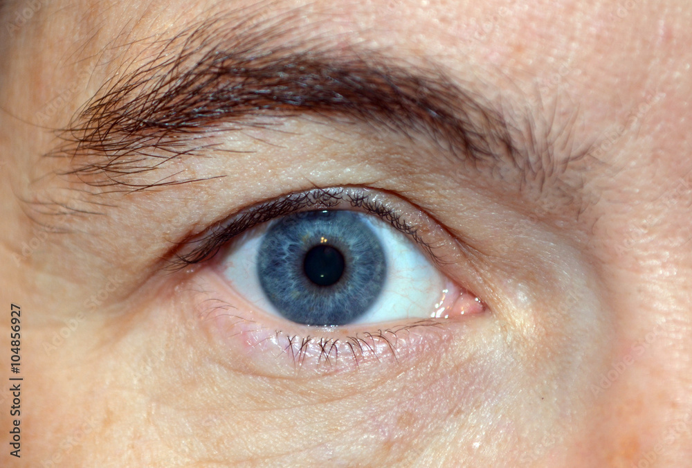 Blue eyeball/Close up of a blue colored eyeball Stock-Foto | Adobe Stock