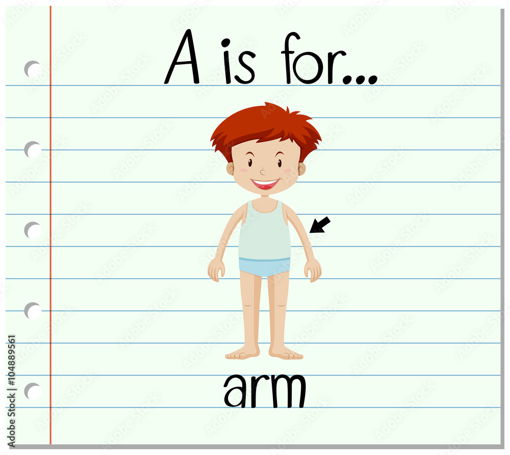 Flashcard letter A is for arm Stock-Vektorgrafik | Adobe Stock