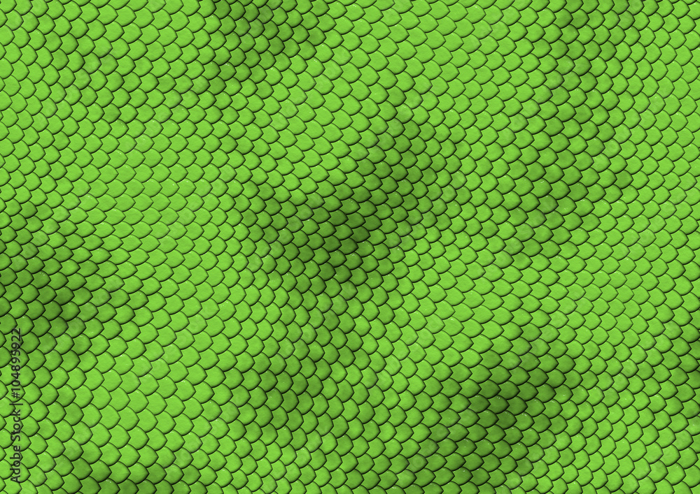 蛇の皮のグラフィック素材 Stock Illustration | Adobe Stock