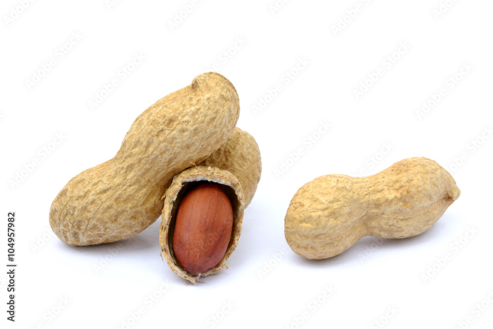 Peanuts in shell isolated on white background Stock Photo | Adobe Stock