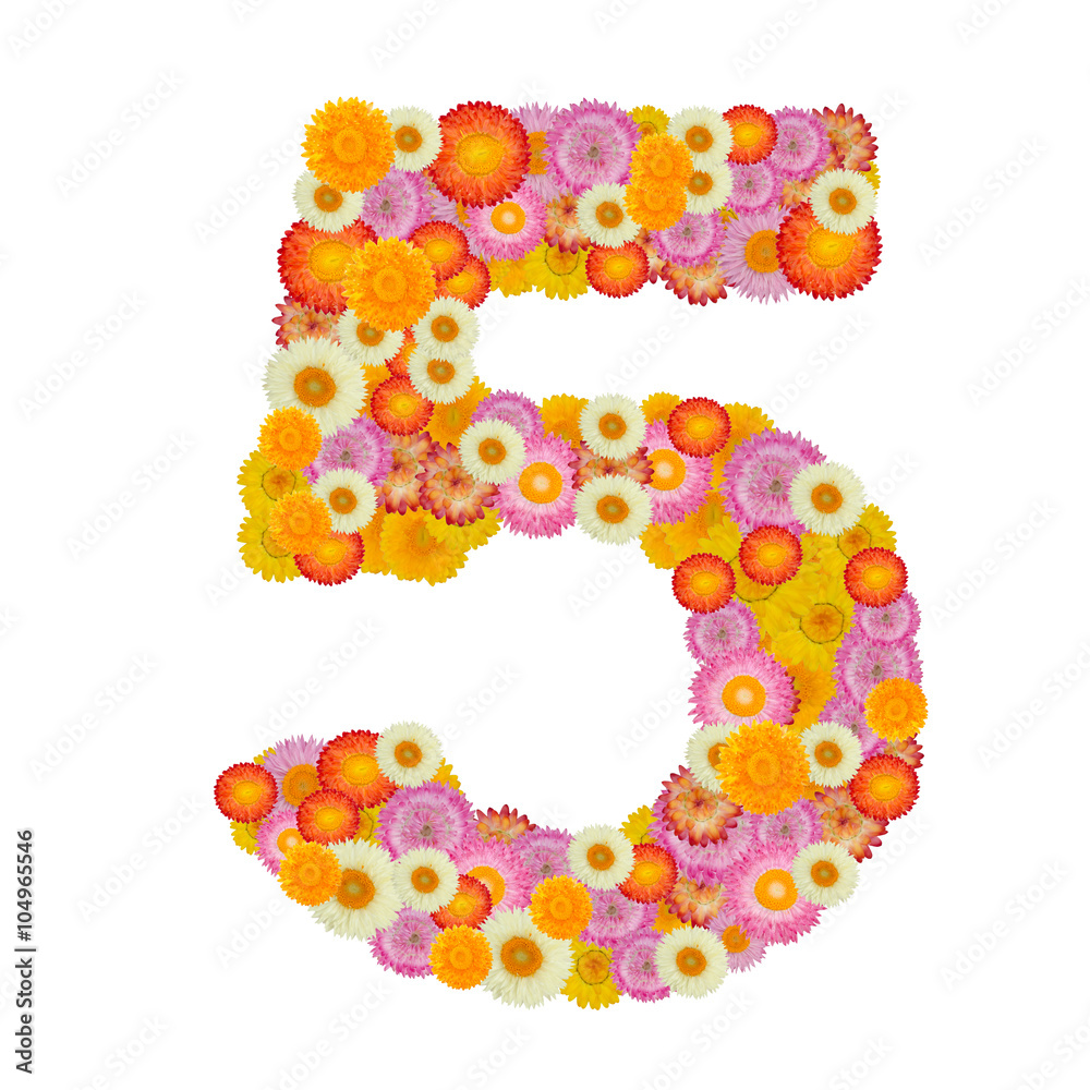 flower number five. Floral element of colorful alphabet made fro Stock ...