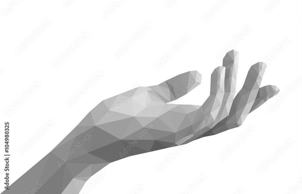 Left Hand Open Drawing