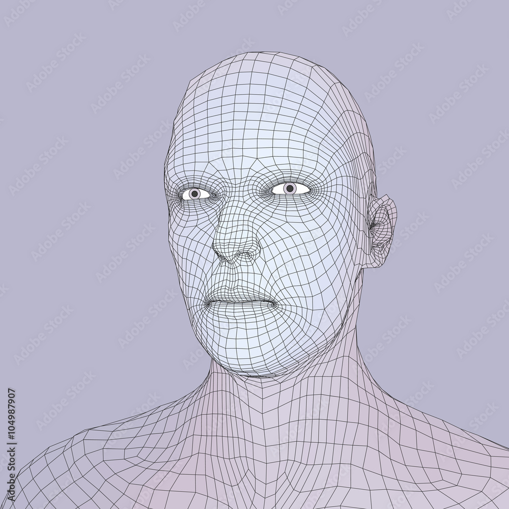 Head of the Person from a 3d Grid. Human Head Wire Model. Human Polygon ...