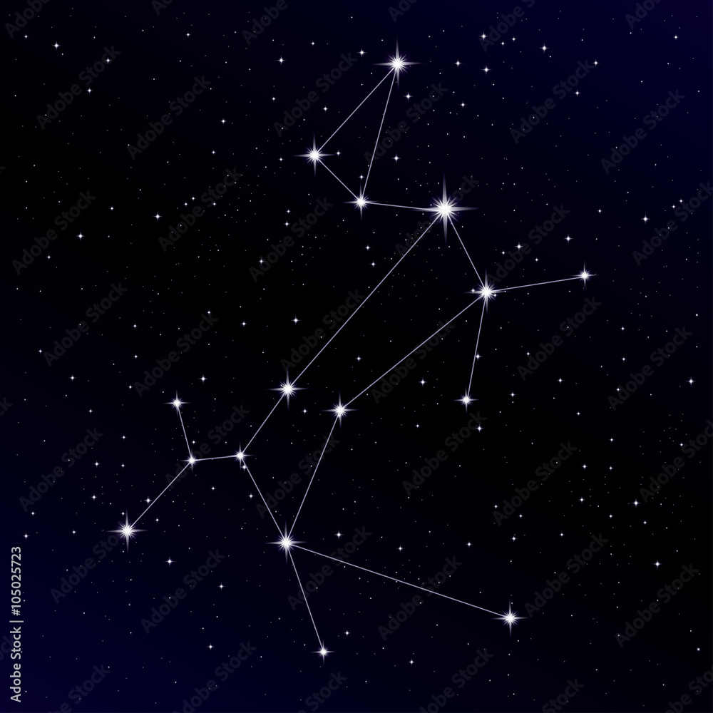 Poster Canis Major constellation with Sirius star – Quadro da Parete ...