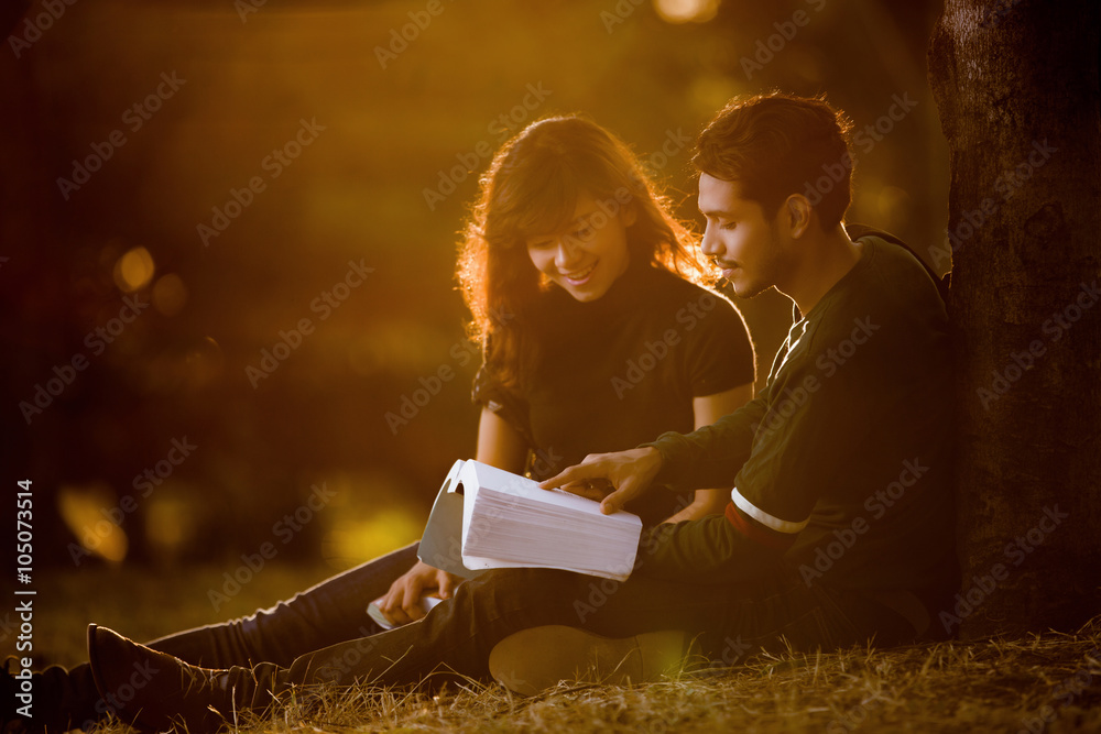 Students are reading a book under a tree the morning.lens flare Stock ...