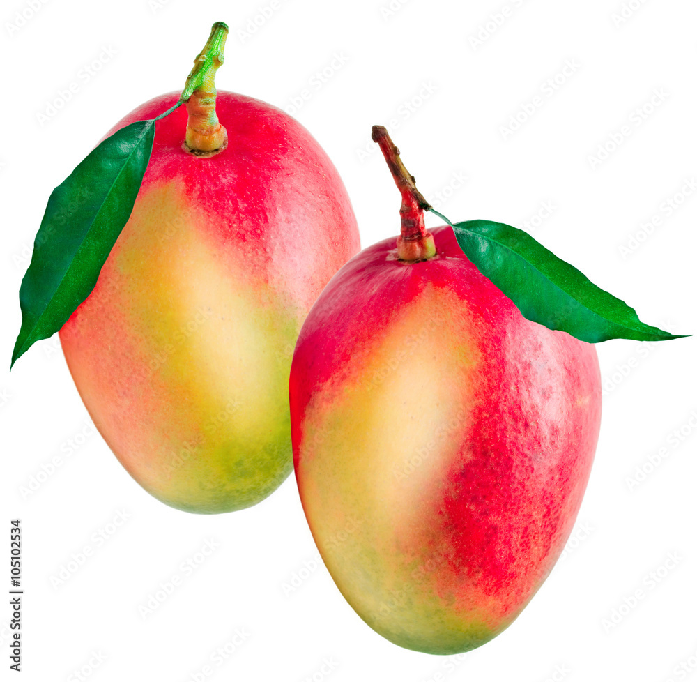 Mango isolated on white Stock Photo | Adobe Stock