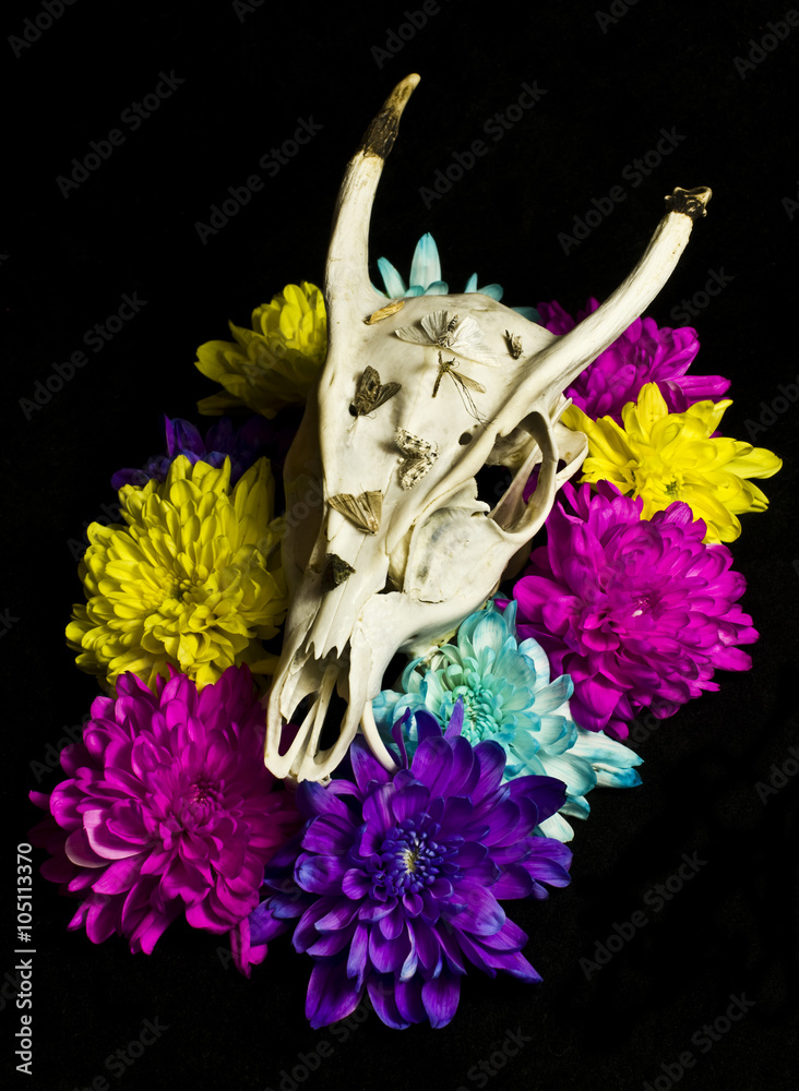 Deer Skull With Flowers Stock Photo | Adobe Stock