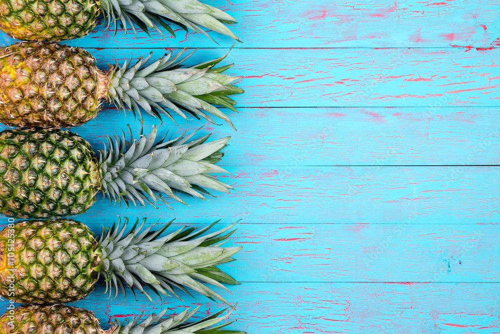 Tropical Tumblr Themes