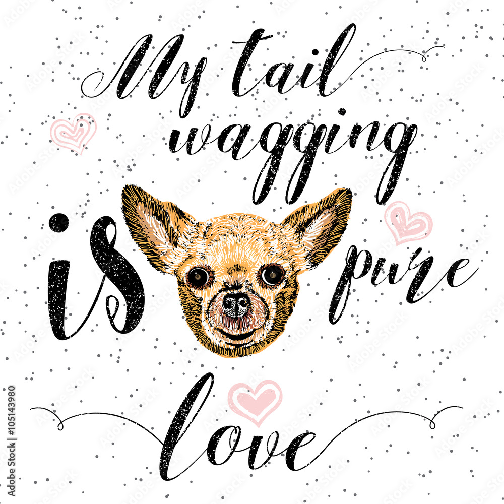 My tail wagging is pure love, hand drawn card and lettering calligraphy ...
