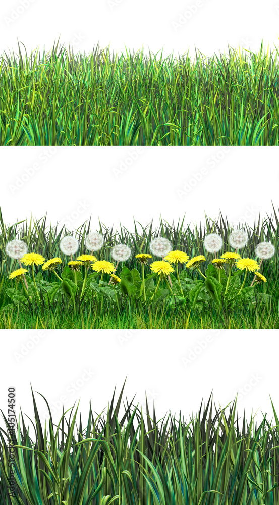 Green grass set. Fresh Green grass stripes on white paper background ...