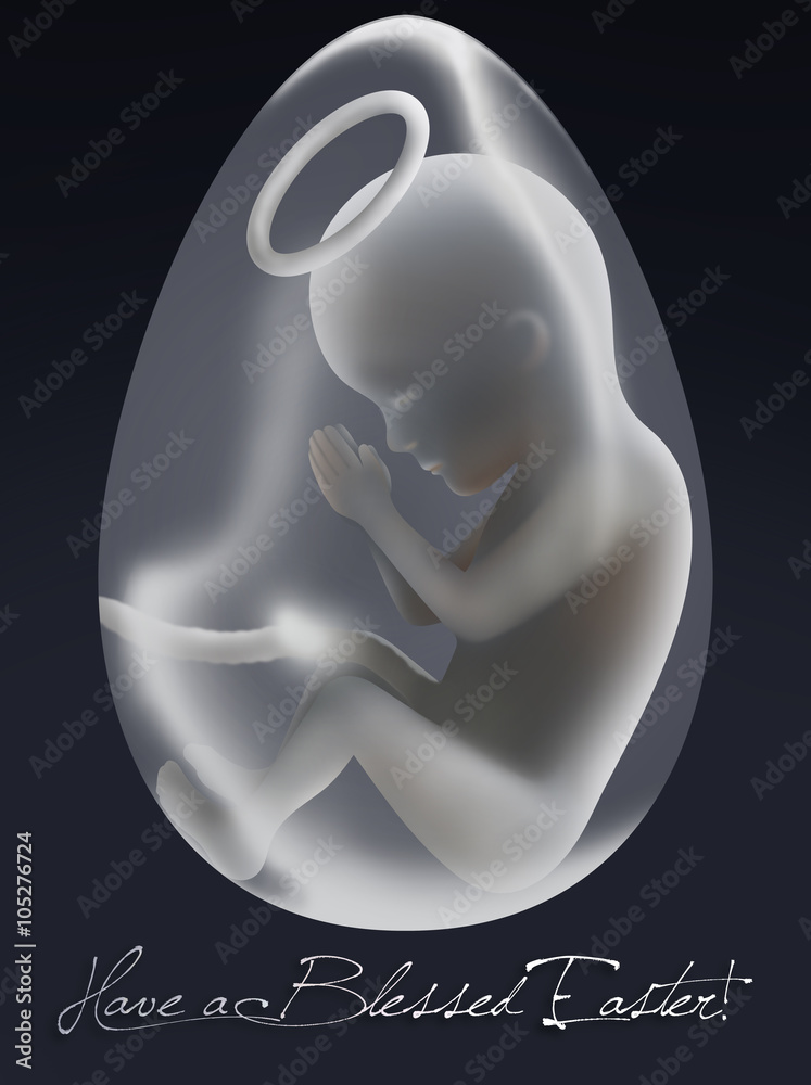Baby in Egg / Easter is coming. Small baby angel in the egg, looks ...