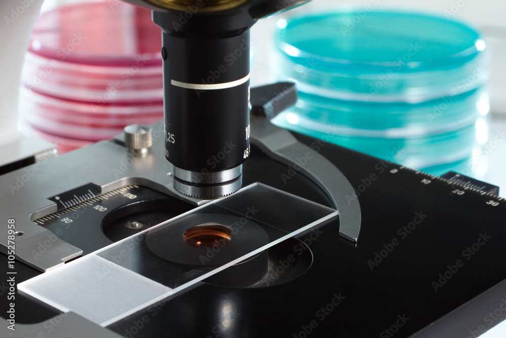 microscope and slide of medical laboratory / Scientific Biological ...