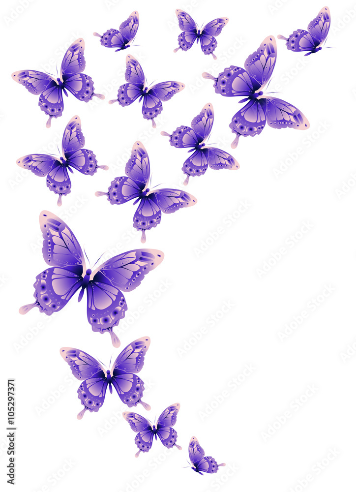 butterflies design Stock Illustration | Adobe Stock