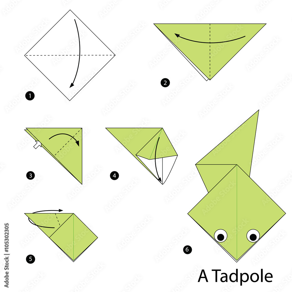 step by step instructions how to make origami a Tadpole. Stock Vector ...
