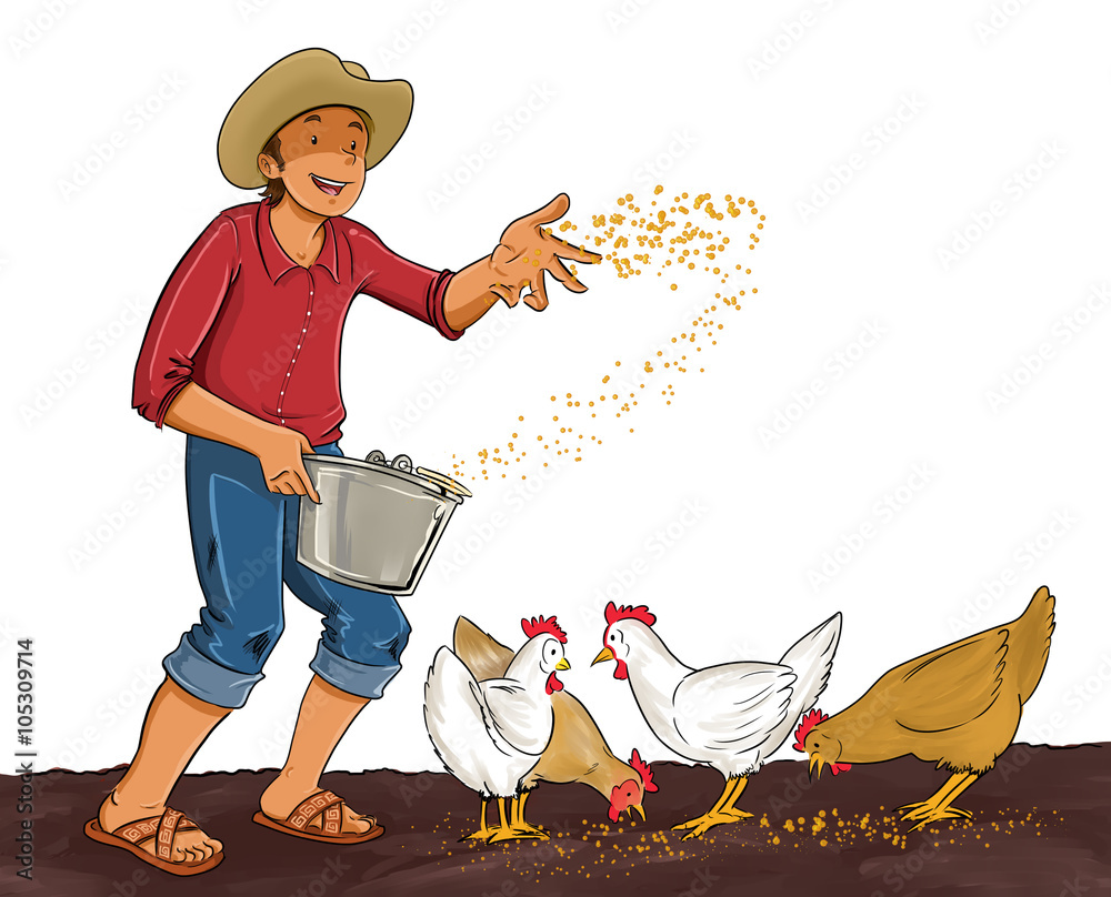 Ilustración de hombre alimentando gallinas con maíz en granja rural ...
