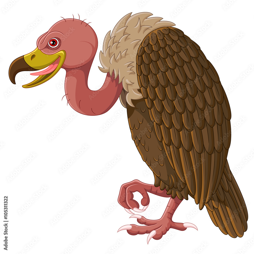 vulture cartoon Stock Vector | Adobe Stock