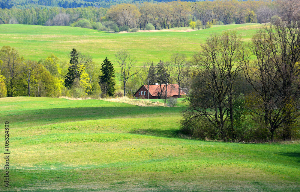 Green spring landscape with meadows and trees Stock Photo | Adobe Stock