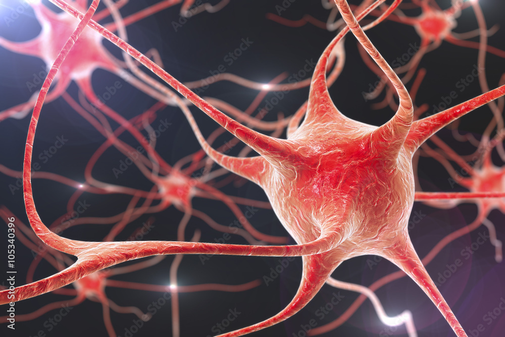 Illustration of neurons on black background, model of nervous cells ...