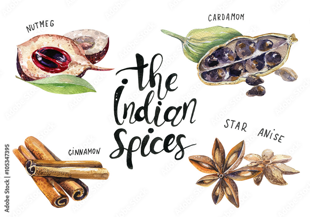 set of spice, drawing by watercolor, hand drawn illustration Stock ...