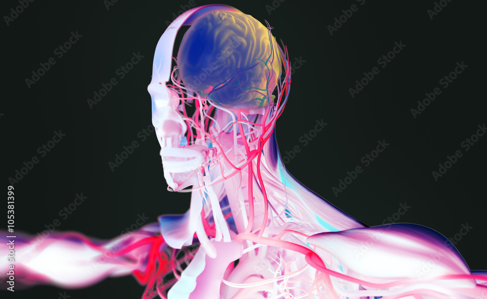 Ilustração do Stock: Human anatomy 3D futuristic scan technology with ...