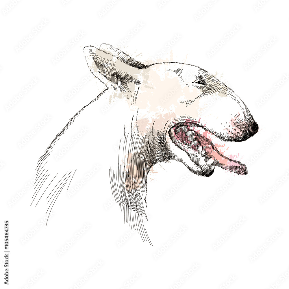 Dog Head Profile Drawing