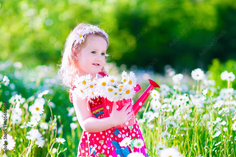 Kid gardening. Little girl with water can in a daisy flower field ...