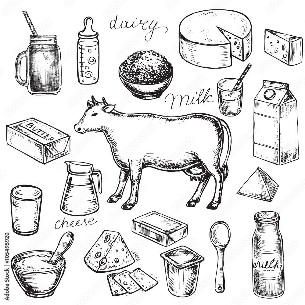 hand drawn sketch illustration dairy products Stock Vector | Adobe Stock
