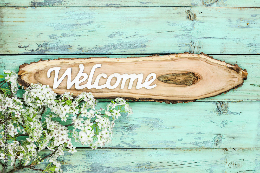 Welcome sign on cross cut tree branch with spring tree blossoms Stock ...