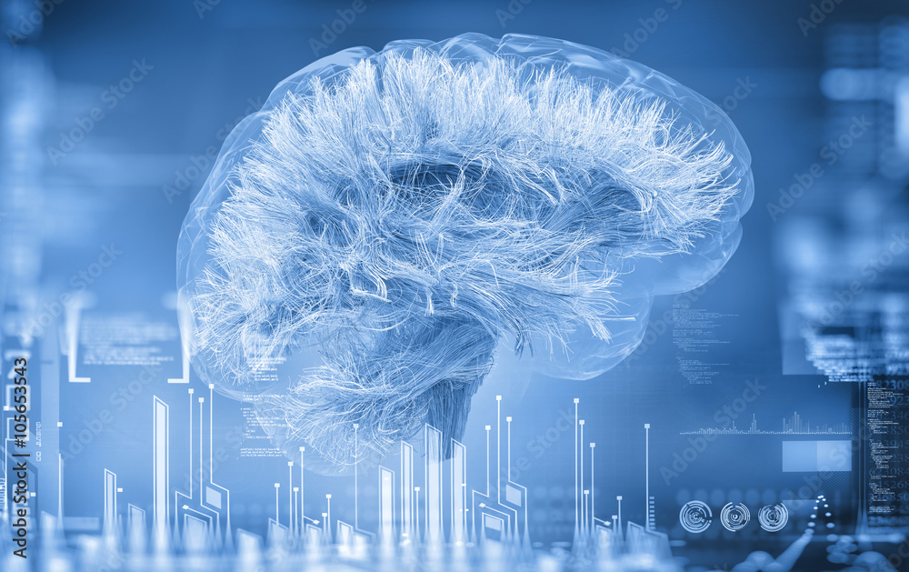 brain connections Stock Illustration | Adobe Stock