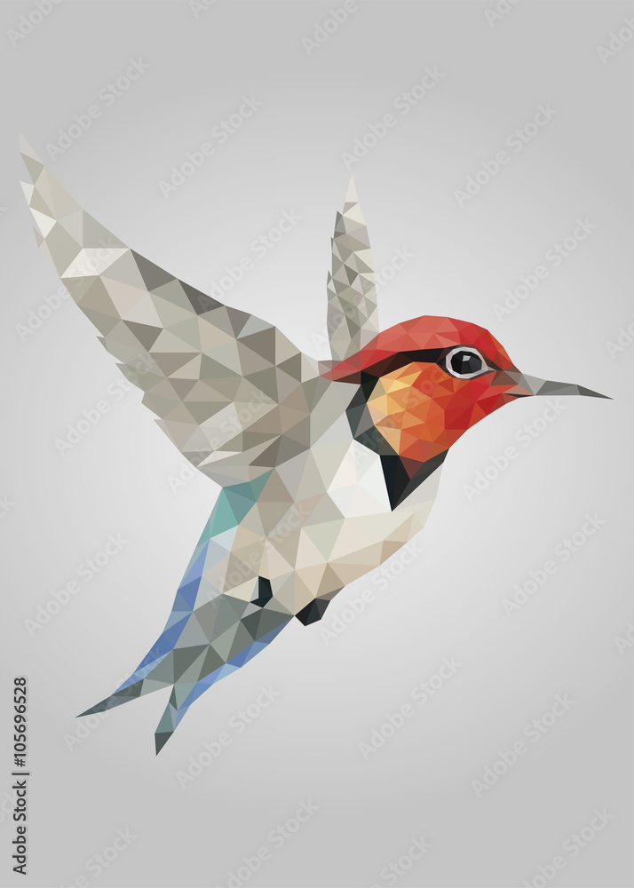 Flying coloured bird standing and looking vector Stock Vector | Adobe Stock