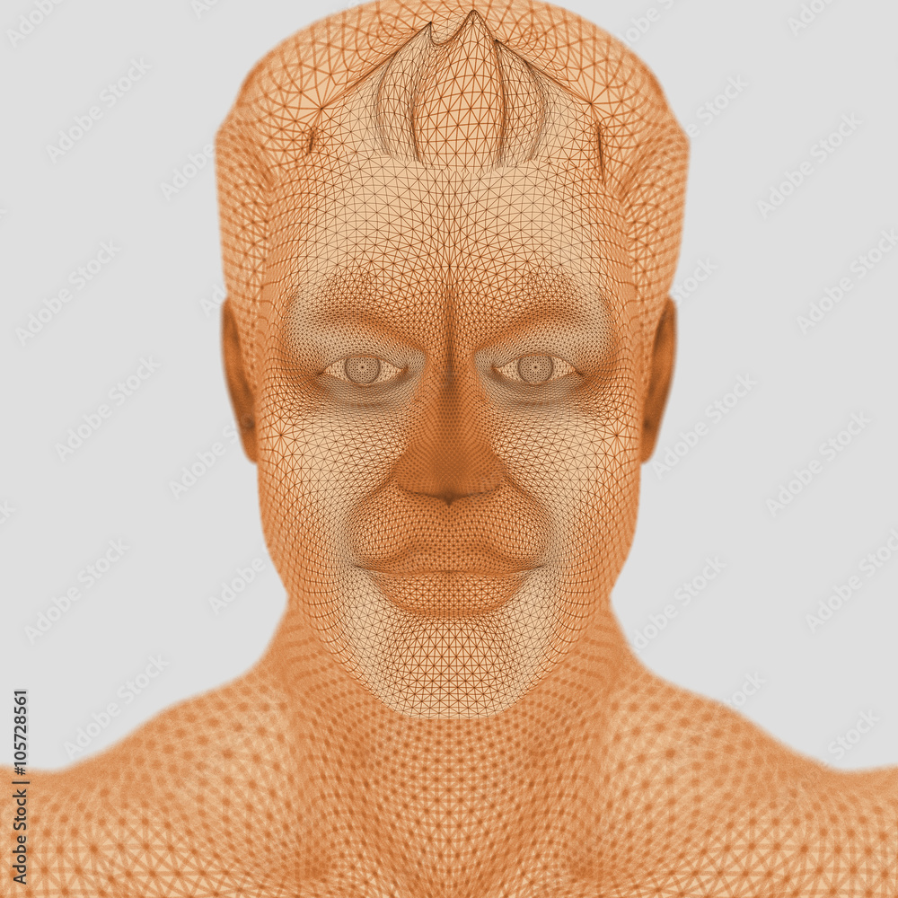 Wireframe human body. Future technology interface 3D scan sci-fi. Stock ...