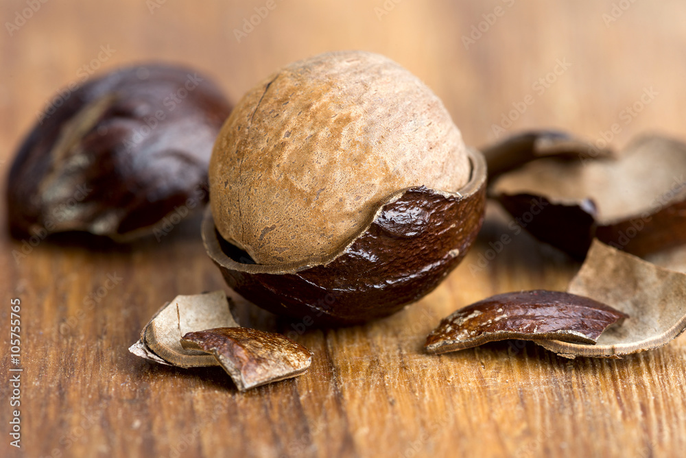 nutmeg in a fragmented nutshell Stock Photo | Adobe Stock