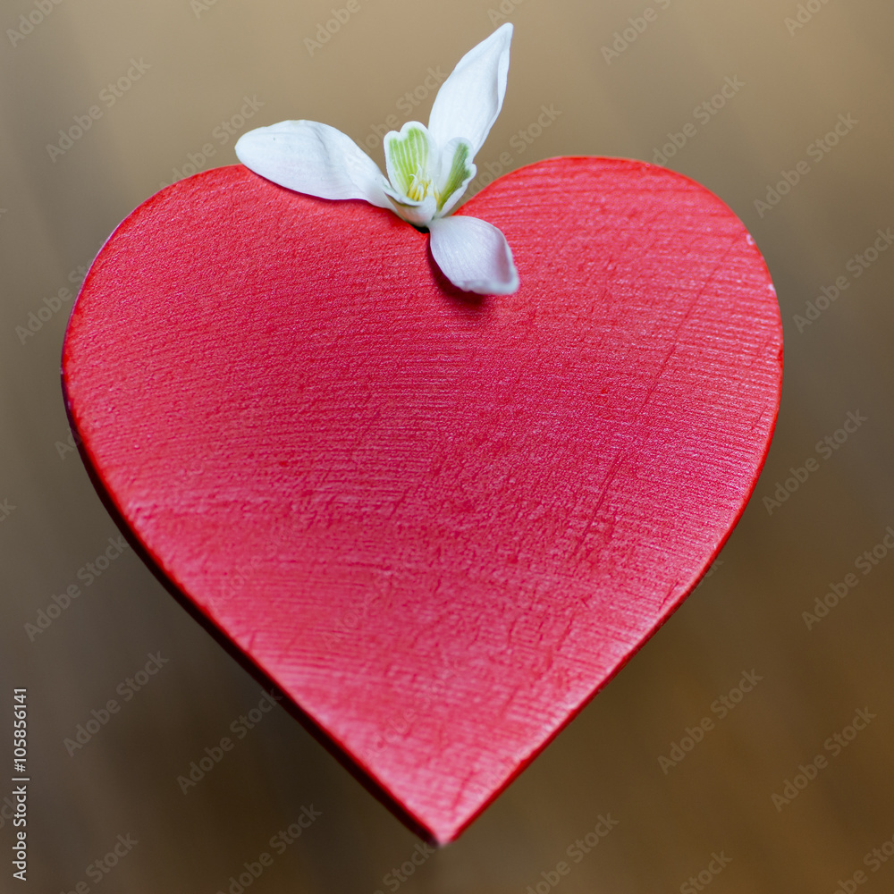 Herz Stock Photo | Adobe Stock