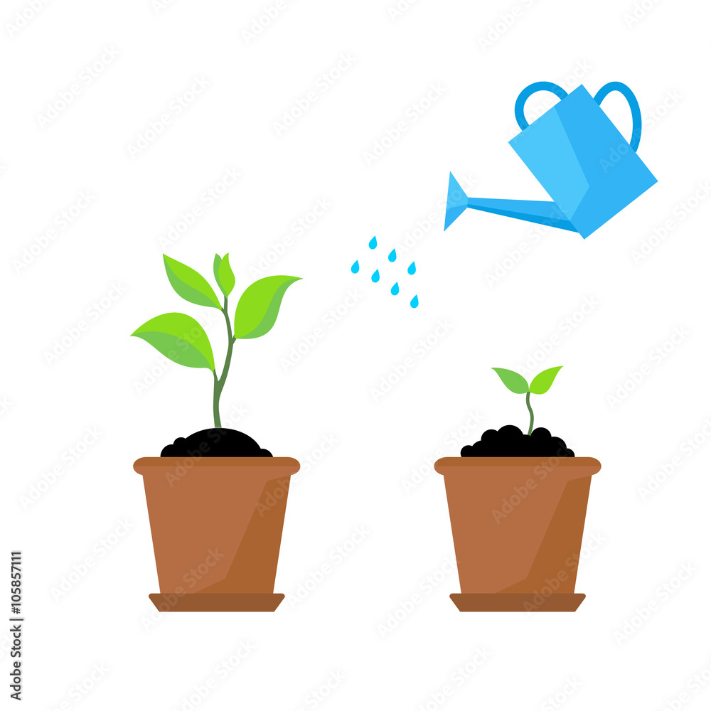 Timeline infographic of planting tree process Stock Vector | Adobe Stock