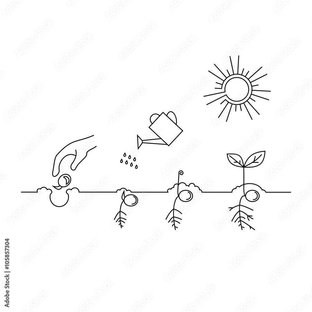 Timeline infographic of planting tree process Stock Vector | Adobe Stock