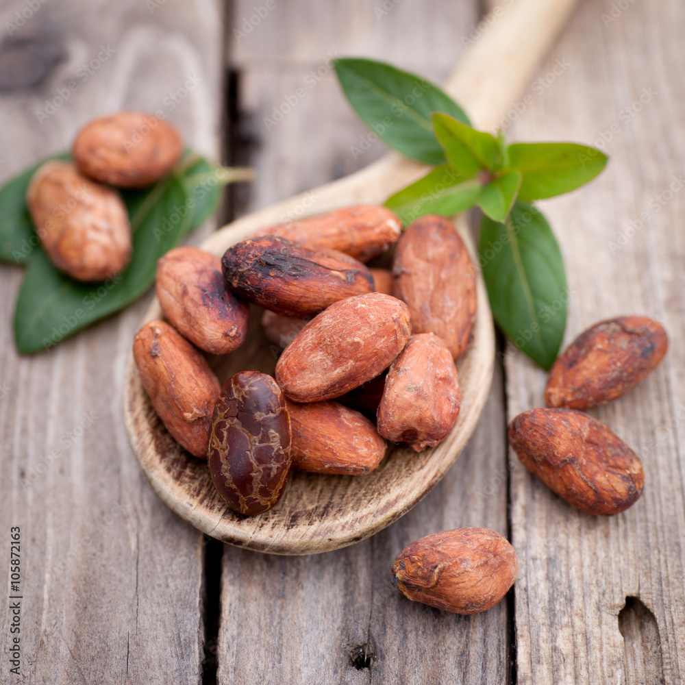 Kakaobohnen Stock-Foto | Adobe Stock