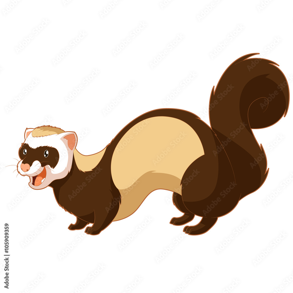 Cartoon smiling ferret Stock Vector | Adobe Stock