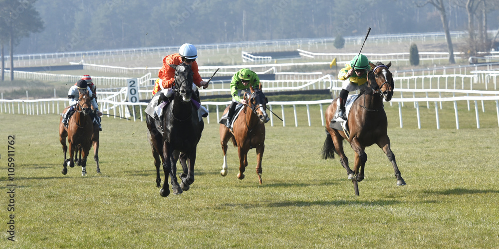 course hippique Stock-Foto | Adobe Stock