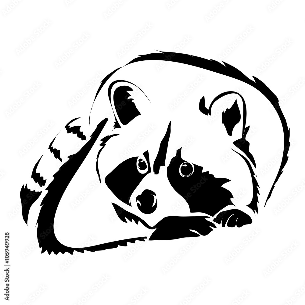 Outline raccoon vector image. Can be use for logo Stock Vector | Adobe ...