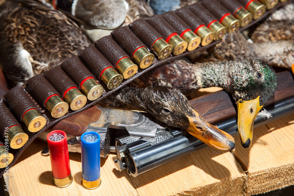 Duck Hunting Shotgun Shells