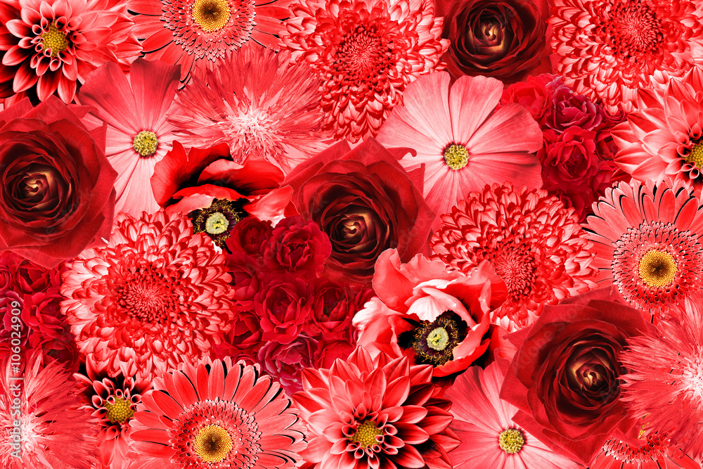 Vintage red flowers collage background Stock Photo | Adobe Stock