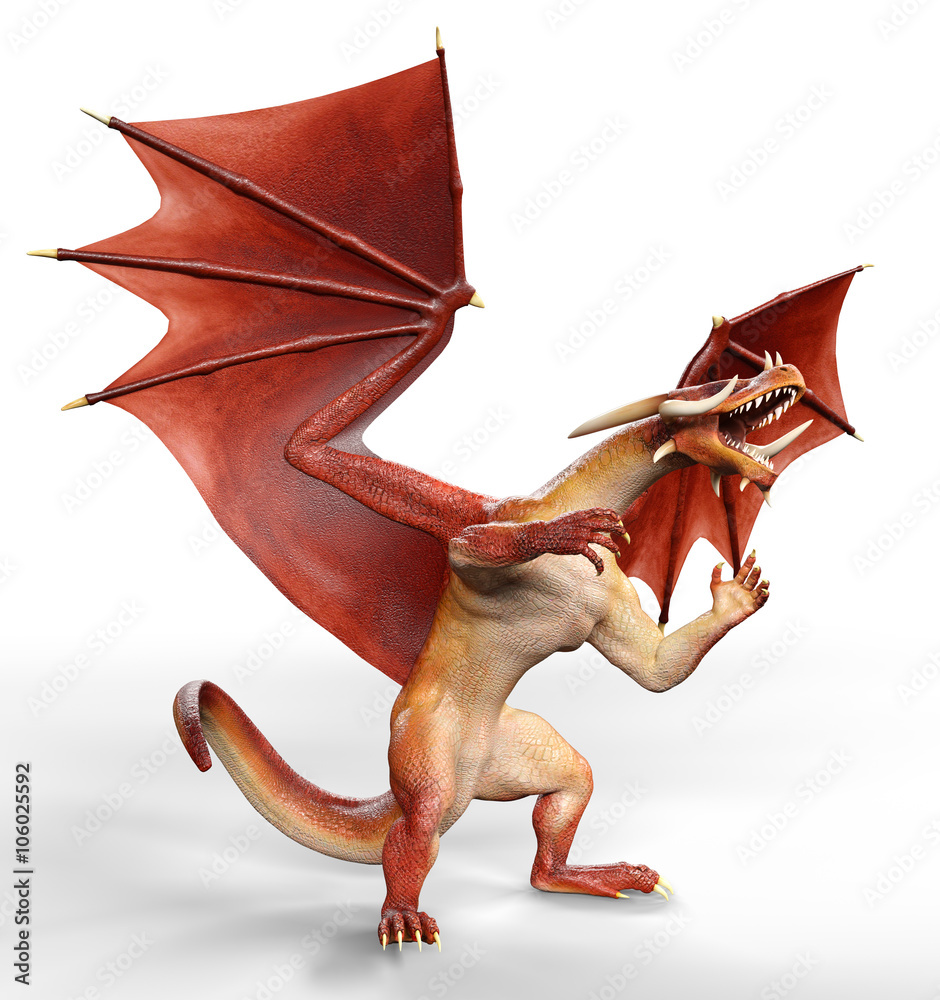 red dragon stand up and fighting Stock Illustration | Adobe Stock