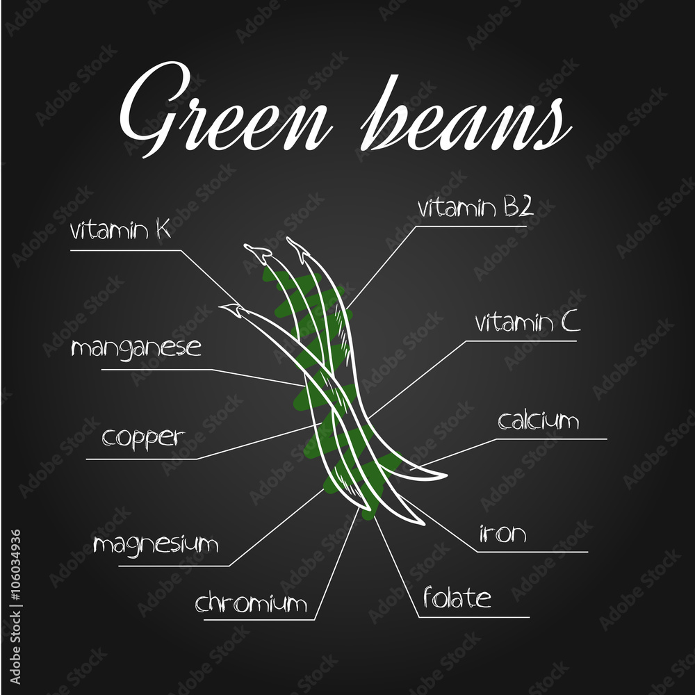 vector illustration of nutrients list for green beans on chalkboard ...
