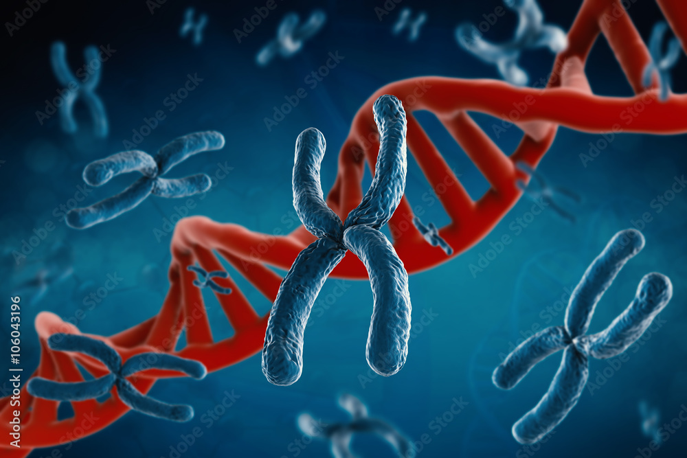 blue chromosome and red dna structure on blue background Stock ...