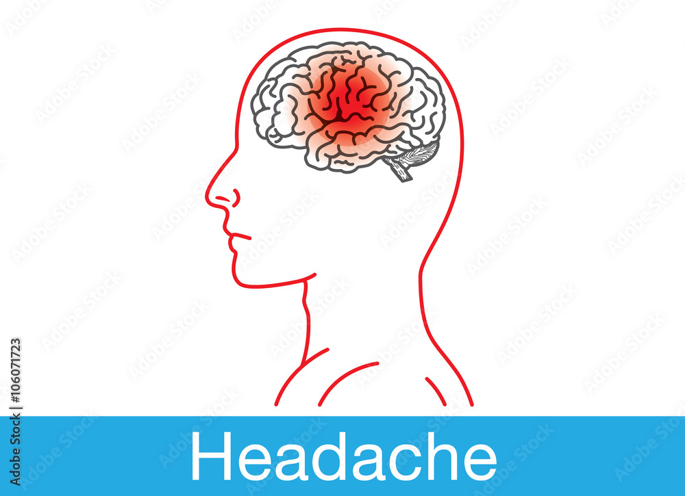 Side view of human brain have a red point sign on brain area which ...