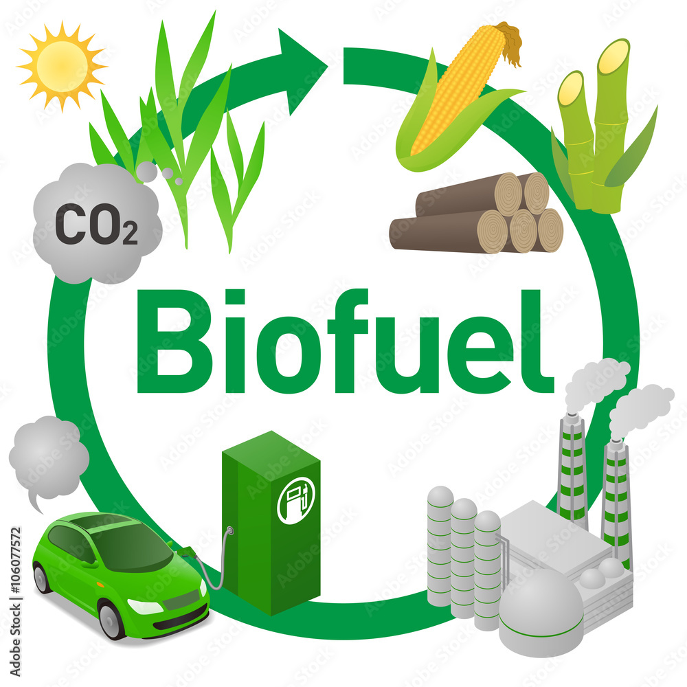 Biofuel life cycle, Biomass ethanol from corn, sugarcane, wood, diagram ... Biofuel life cycle, Biomass ethanol from corn, sugarcane, wood, diagram ...